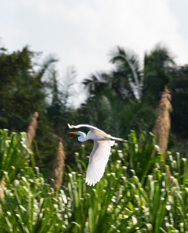 Contact SierraCol Energy | Get in Touch